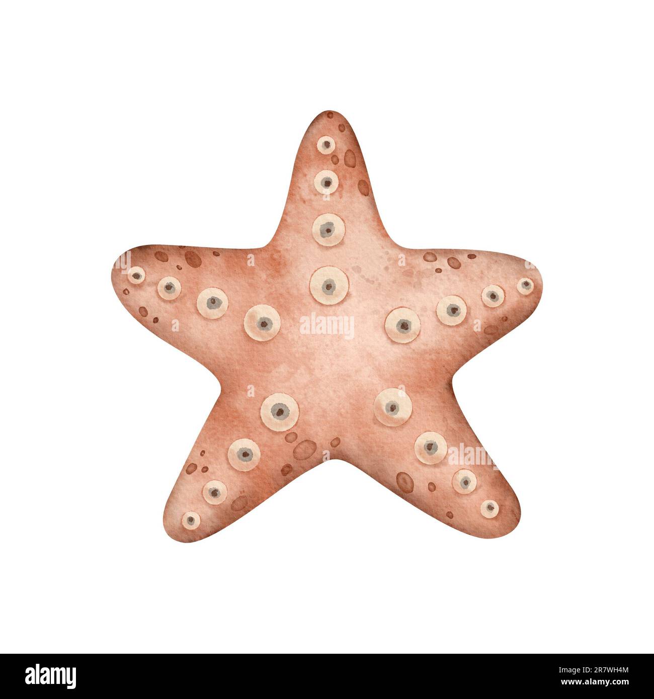 Coral reef wall painting hi-res stock photography and images - Alamy