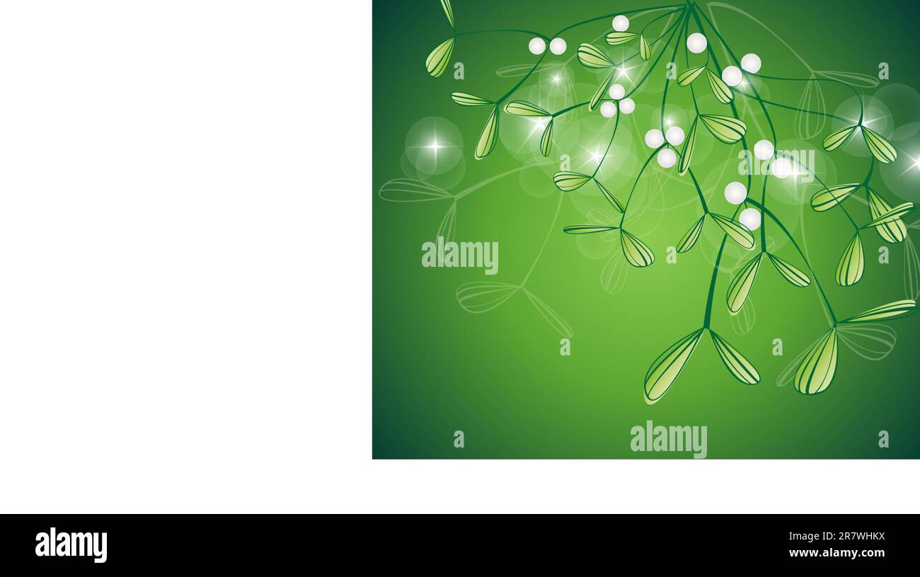 Mistletoe plant Stock Vector Images - Alamy