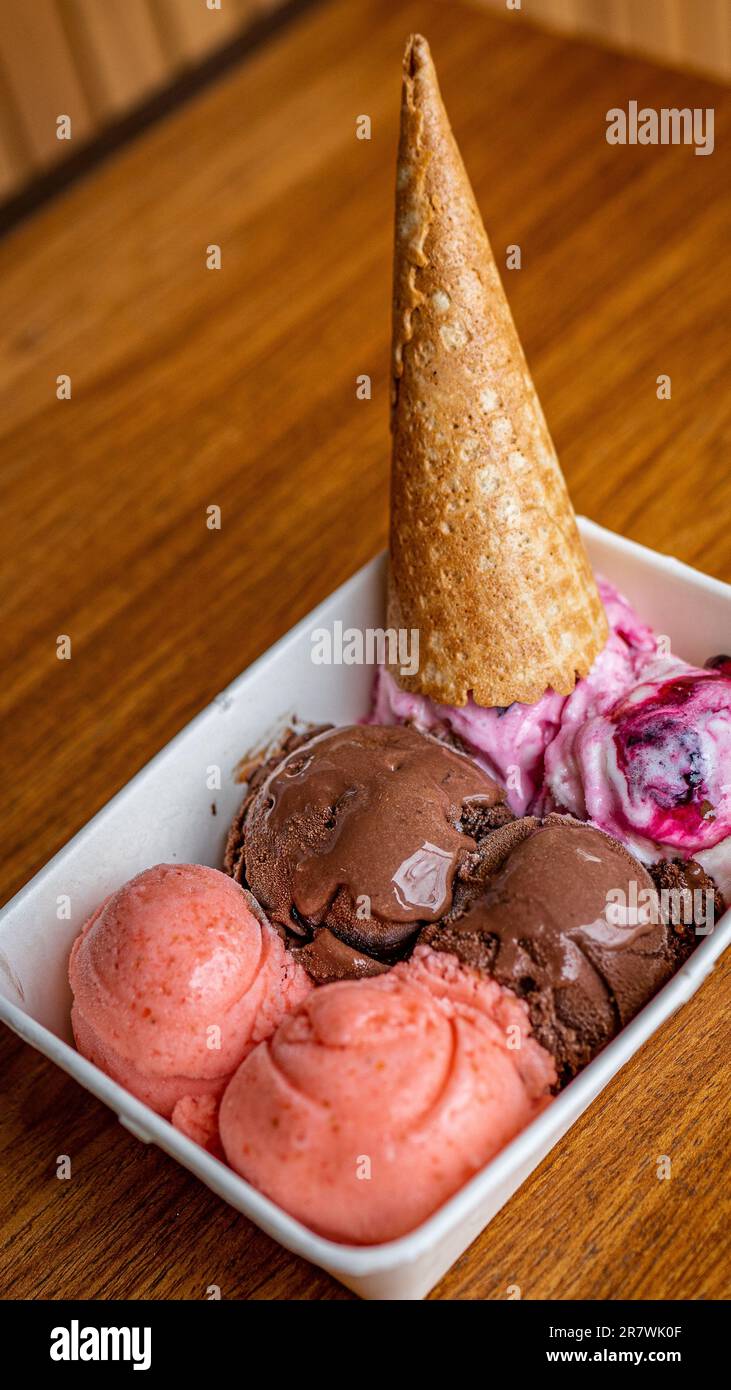 A delicious array of ice cream in a bowl, featuring scoops of chocolate ...