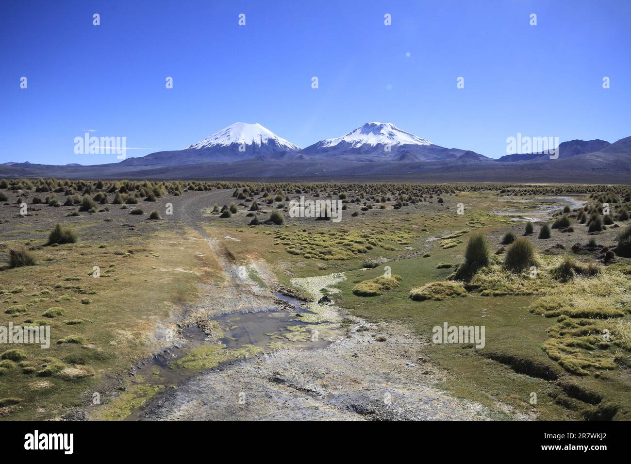 Parque Nacional Sajama Stock Photo - Alamy