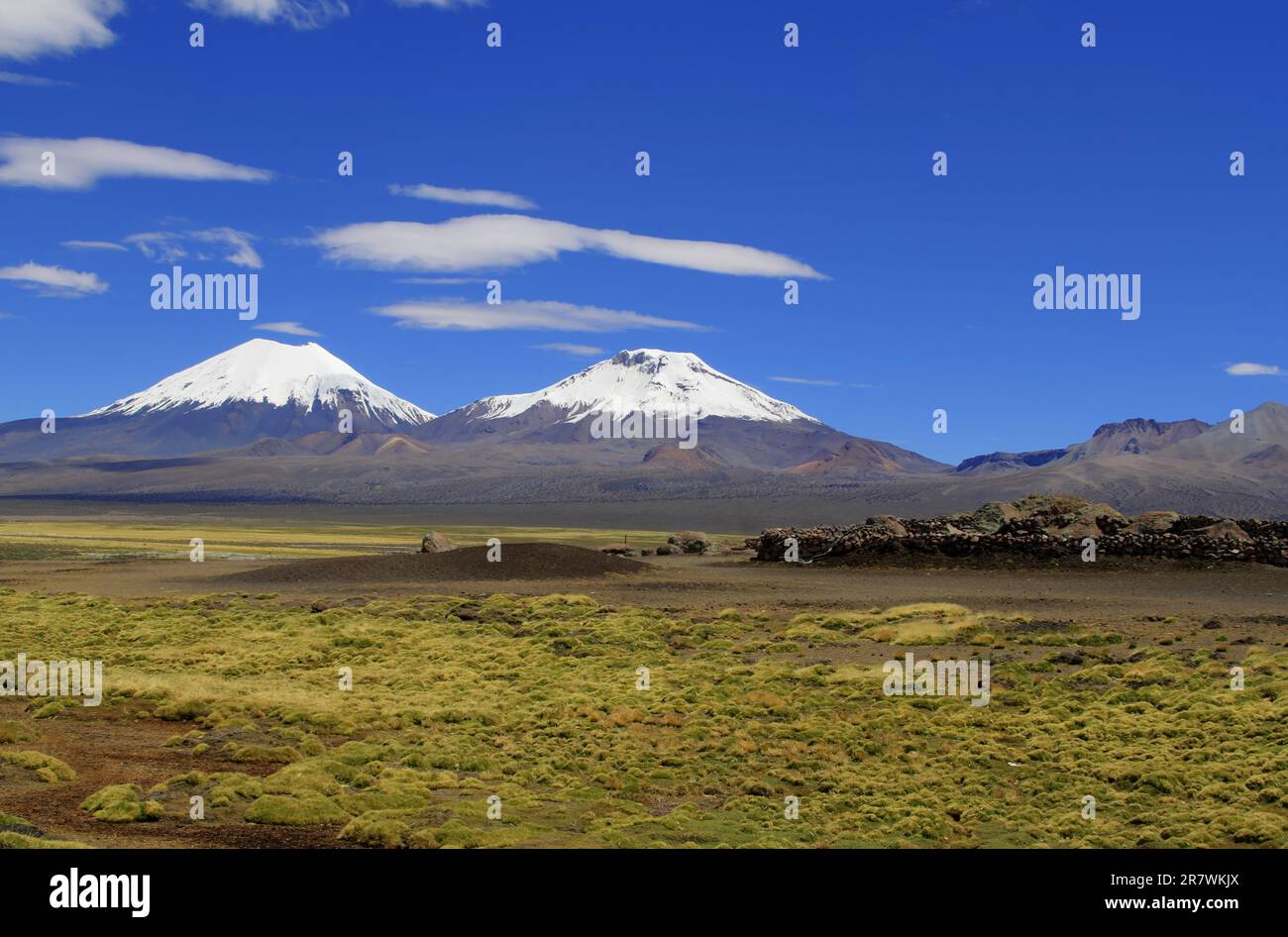 Parque Nacional Sajama Stock Photo - Alamy