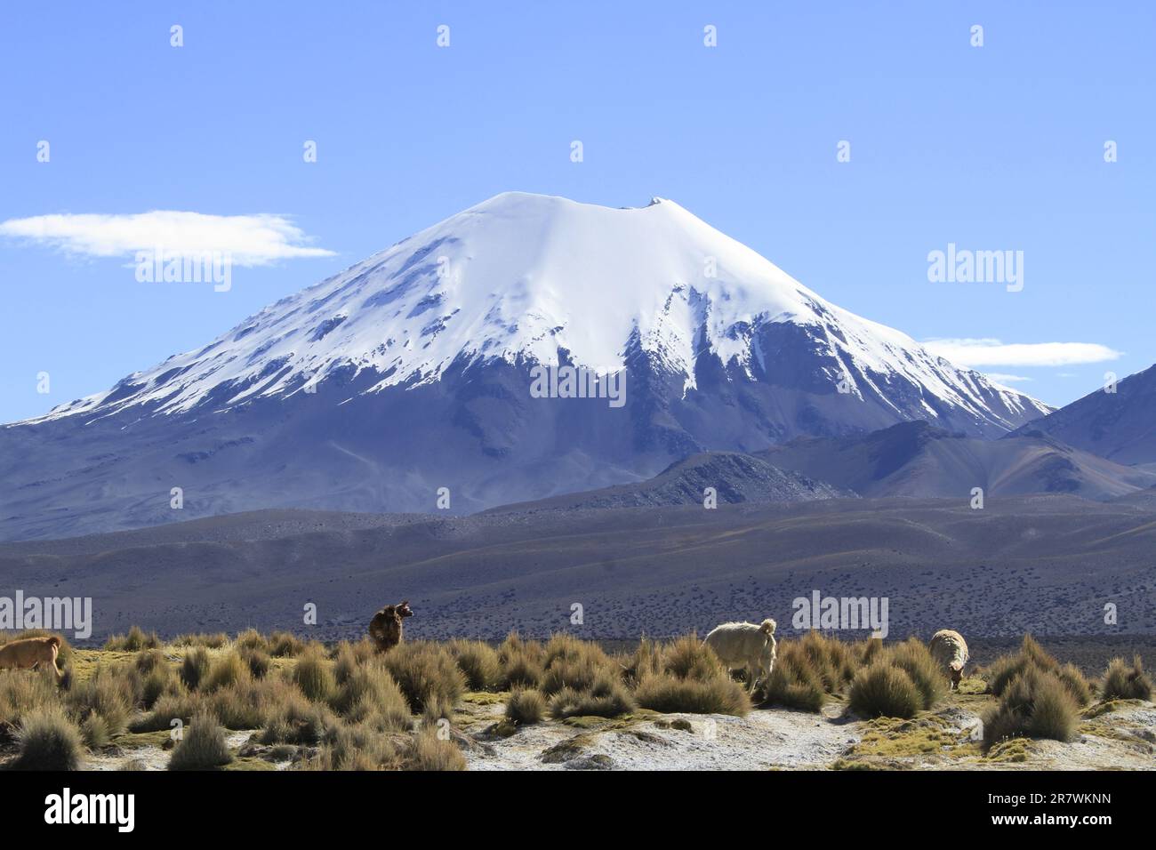 Parque Nacional Sajama Stock Photo - Alamy