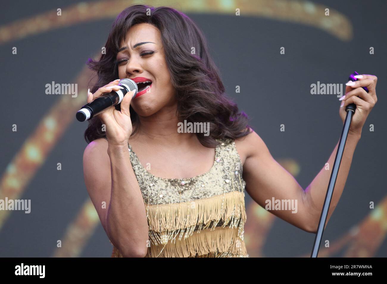 The cast of Tina Turner the musical perform live on stage at West End ...