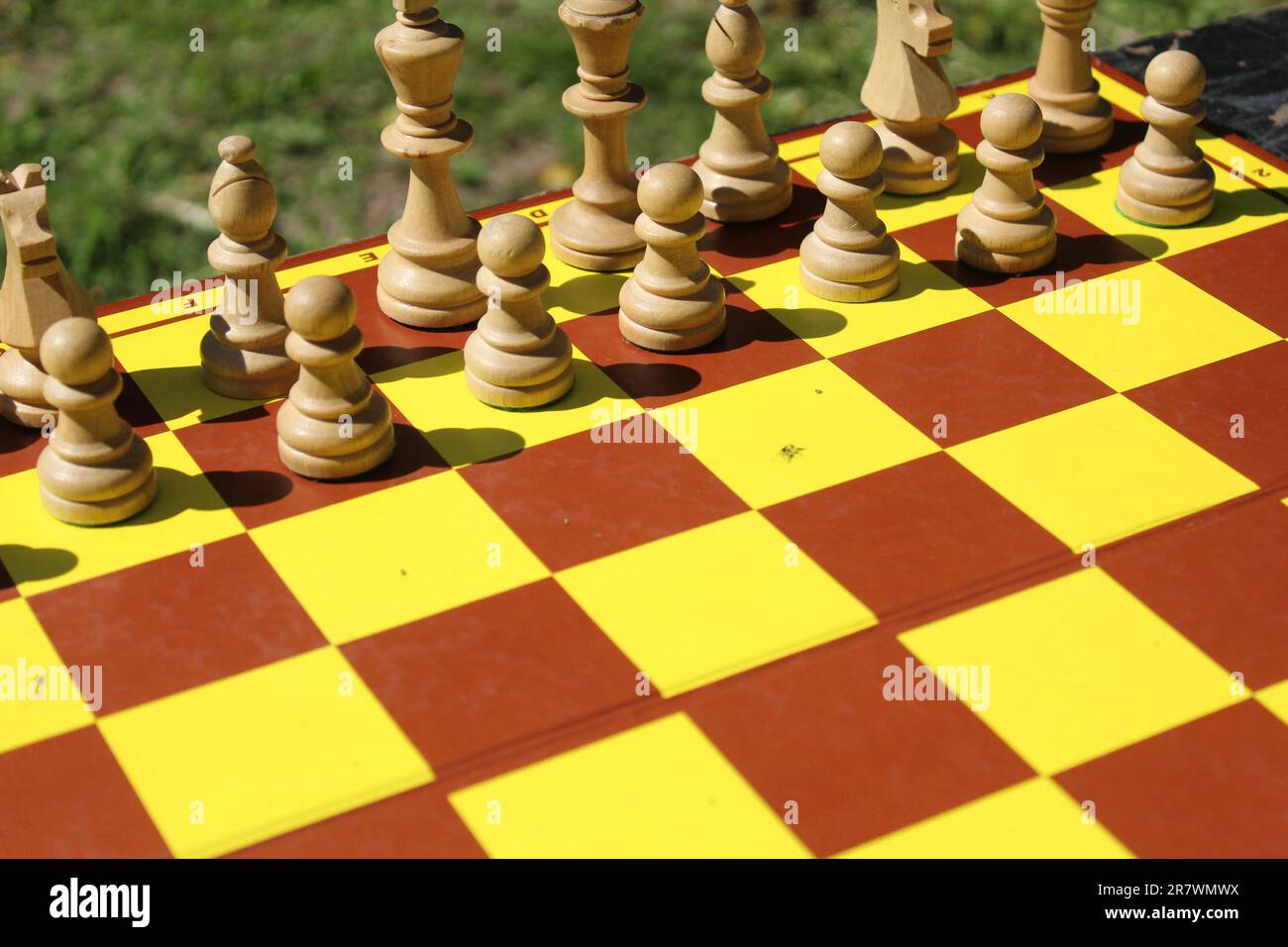 White chess pieces on a chessboard close-up. Ready to play board games. Strategy and tactics ...