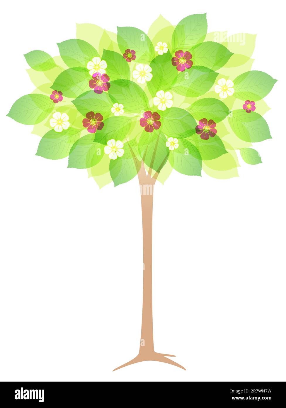 vector spring flowering tree with green leaves Stock Vector Image & Art ...
