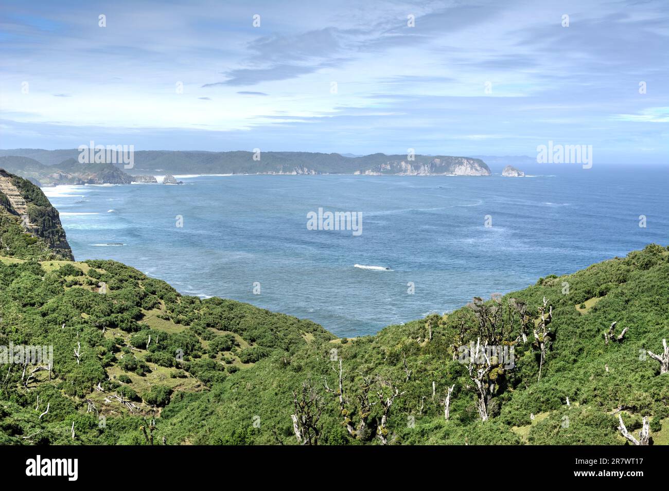Beautiful seascape of overgrown coastal cliffs and ocean view on Chiloe ...