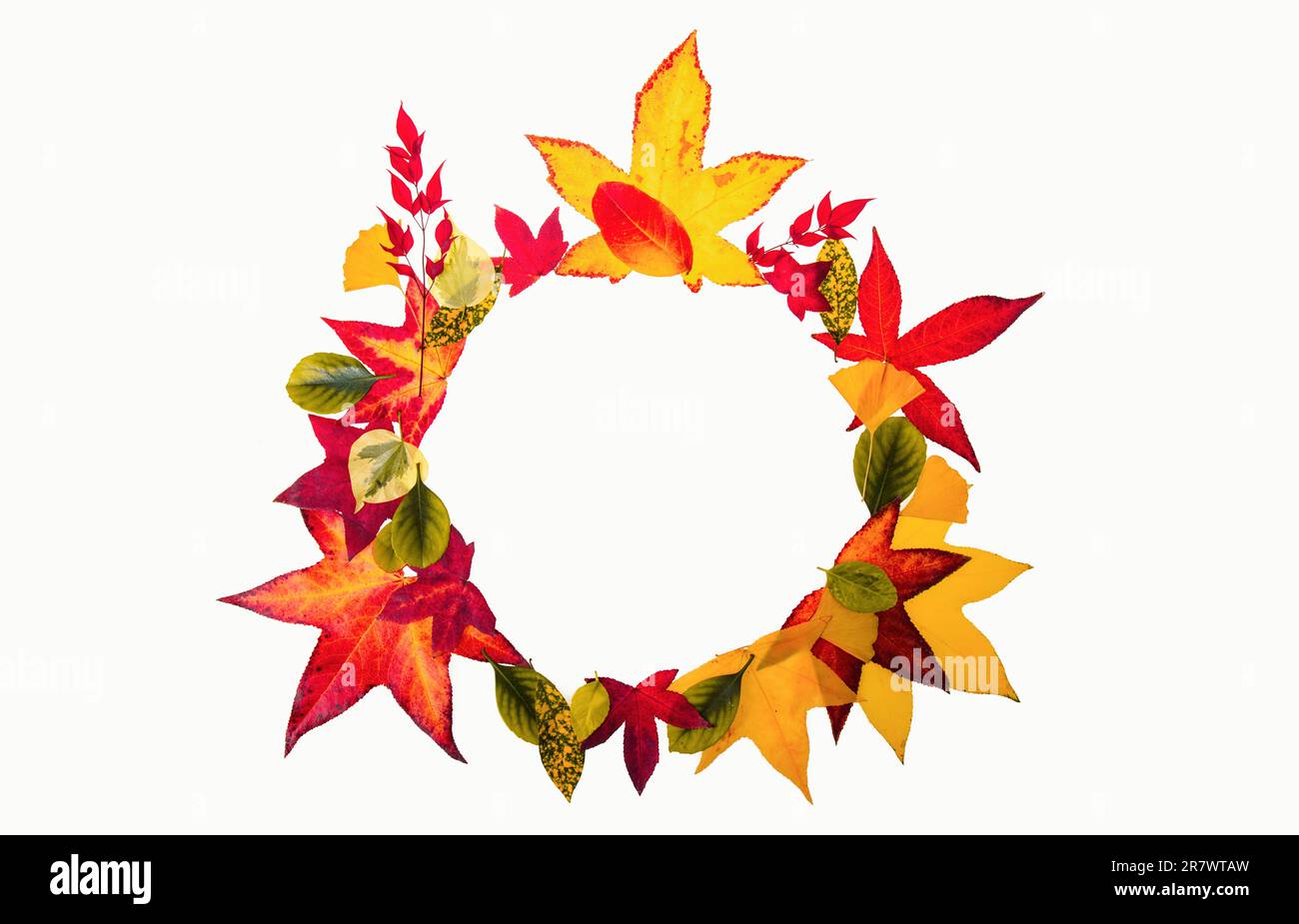 Autumn borders and frames for design banners, leaflets, posters with ...