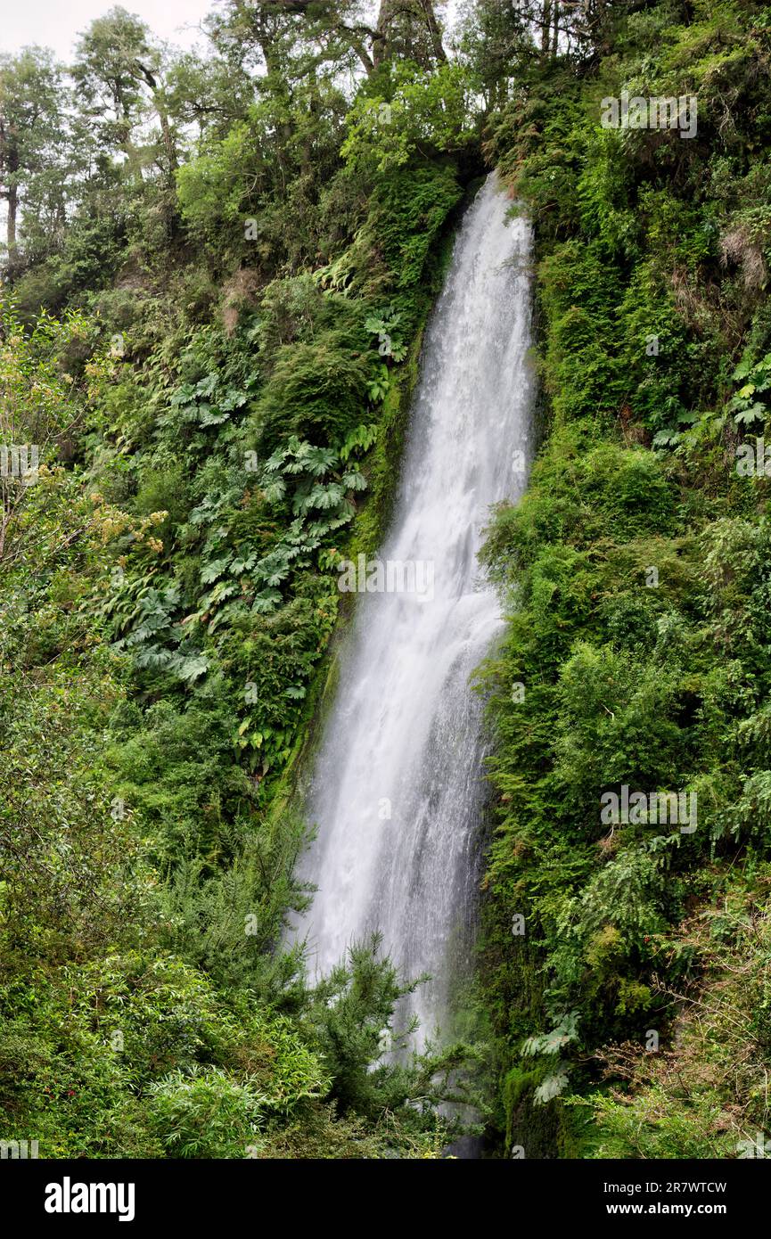 Beautiful Tall Waterfalls Cascadas de Tocoihue in Island Chiloe in ...