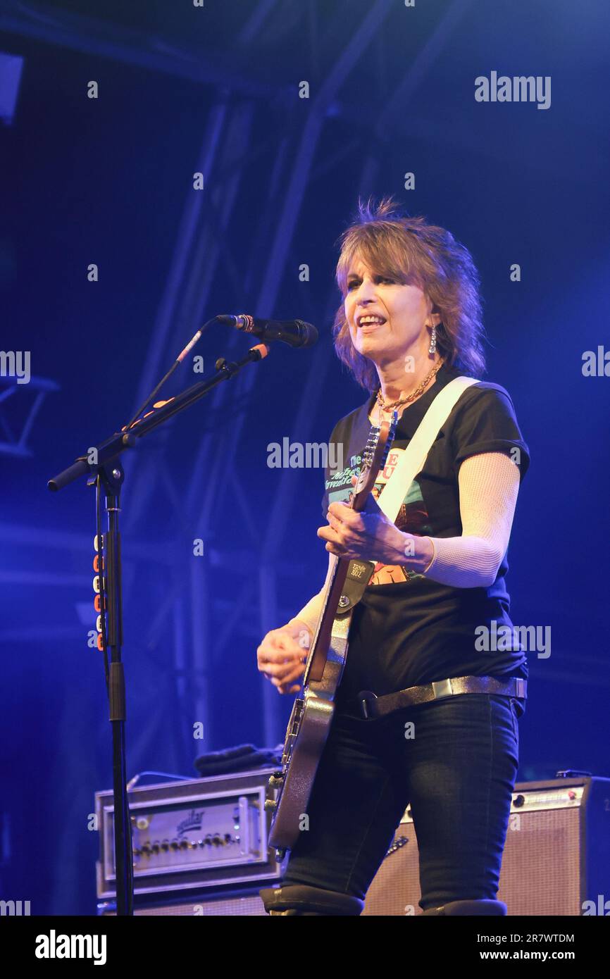 Black deer festival eridge park hi-res stock photography and images - Alamy