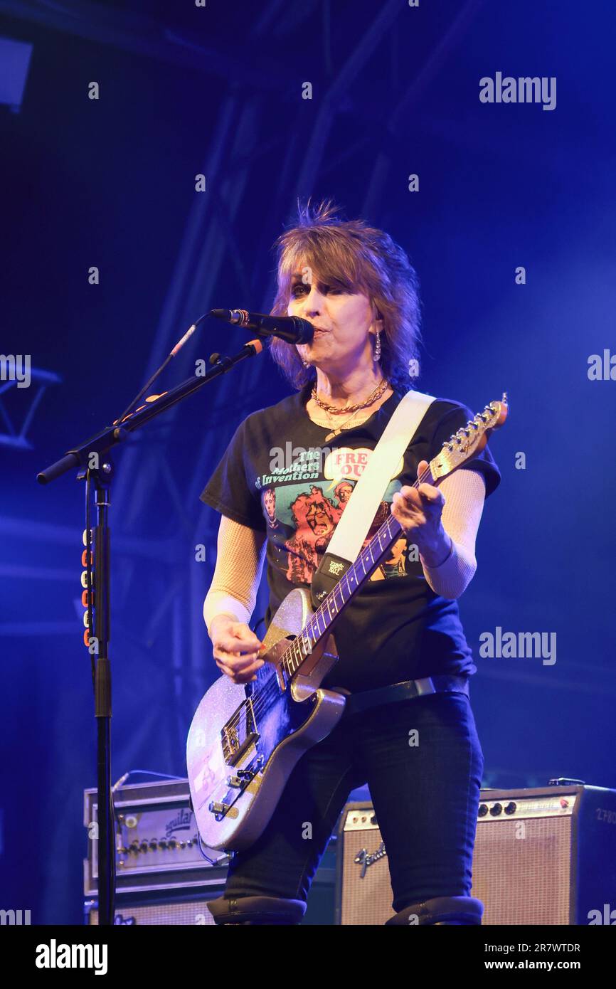 Black deer festival eridge park hi-res stock photography and images - Alamy