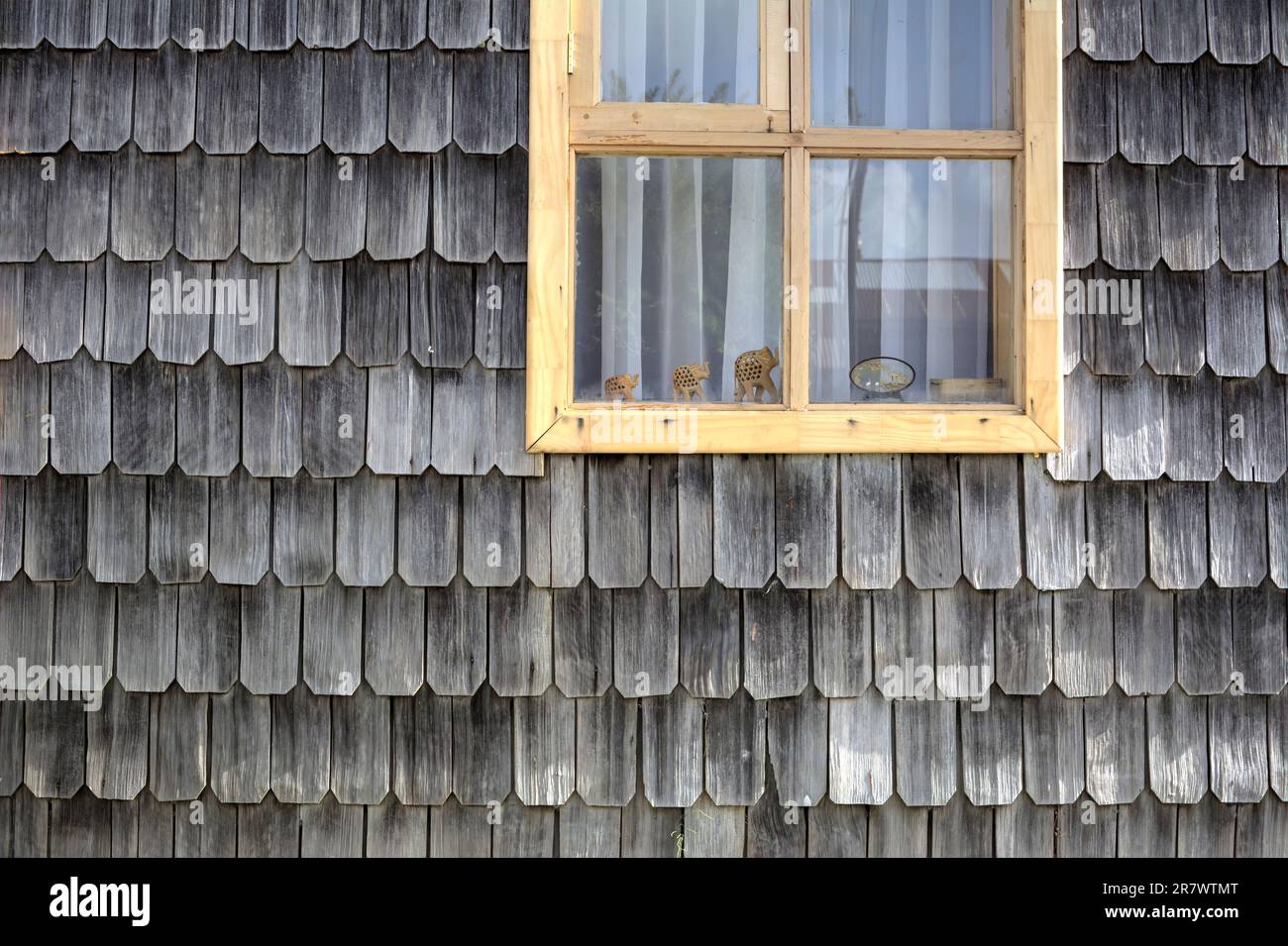 Traditional wood shingles (Tejuela Chilota) on historic buildings on ...