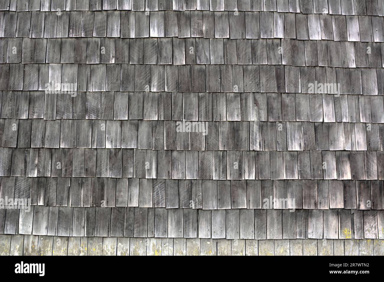 Traditional wood shingles (Tejuela Chilota) on historic buildings on ...
