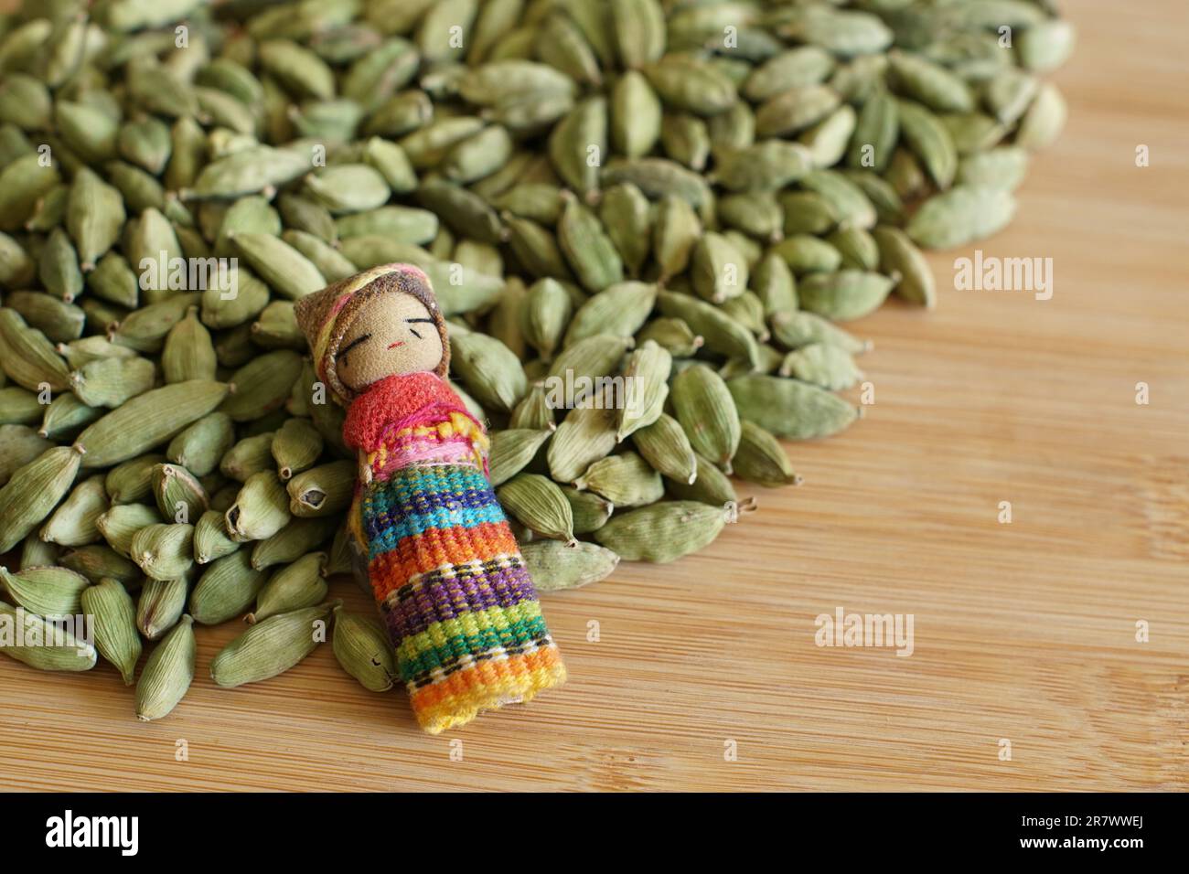Guatemalan high quality cardamom pods Stock Photo - Alamy