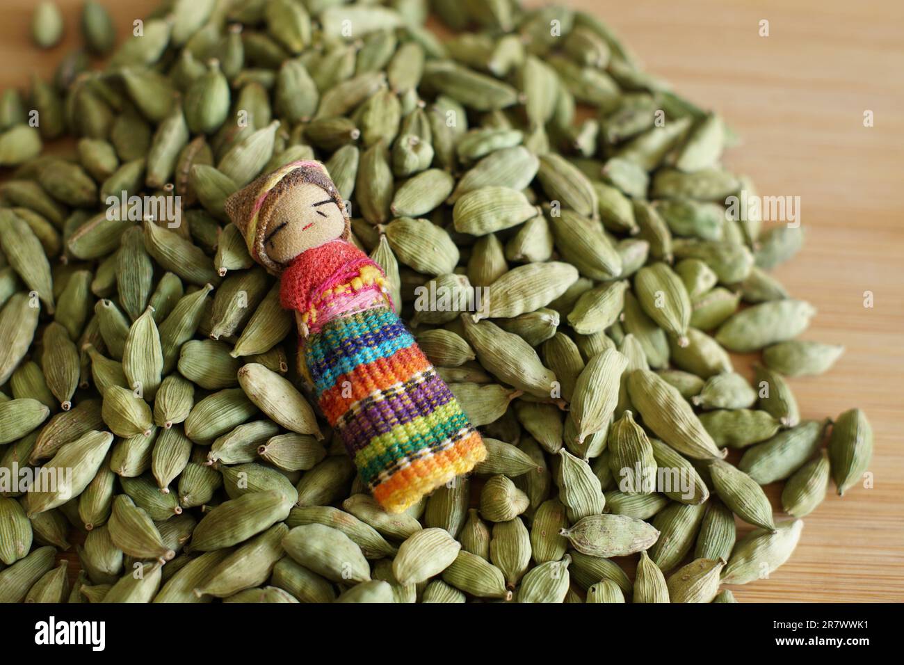 Guatemalan high quality cardamom pods Stock Photo - Alamy