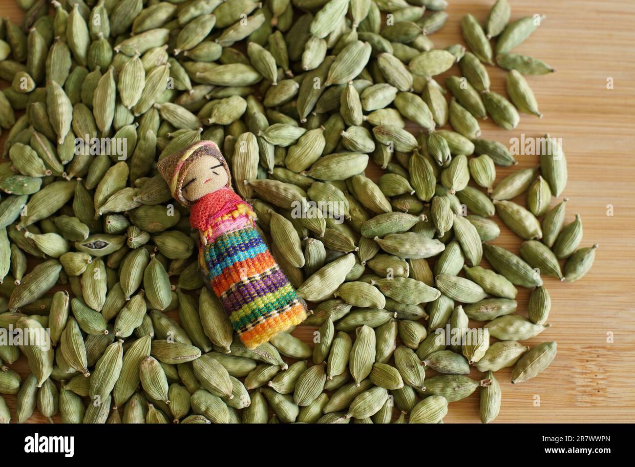Guatemalan high quality cardamom pods Stock Photo - Alamy