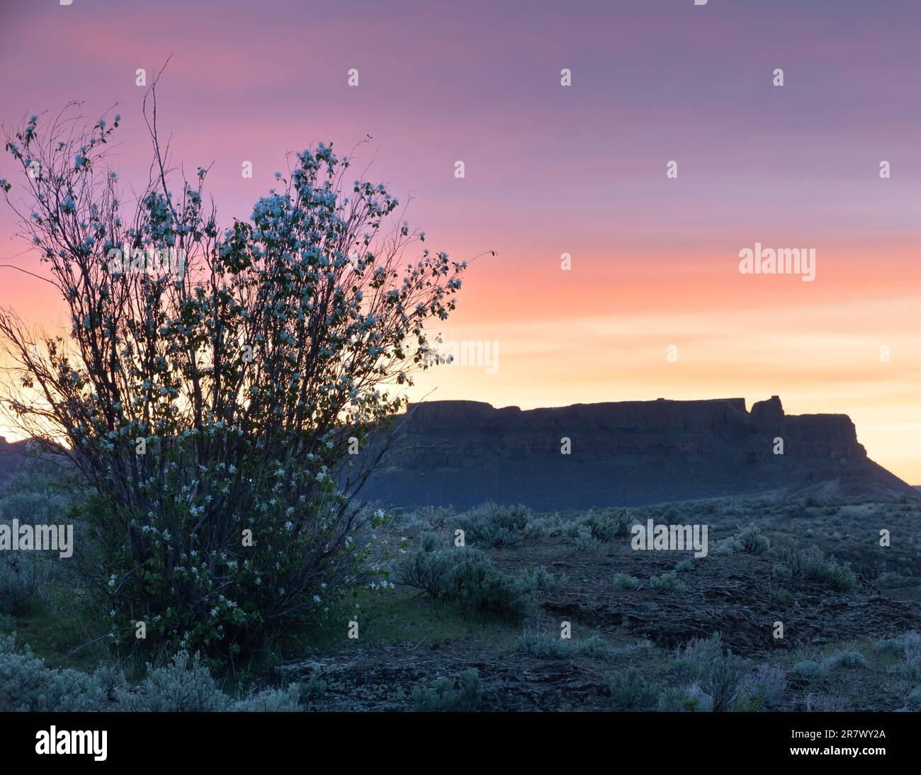 Distant cliff hi-res stock photography and images - Alamy