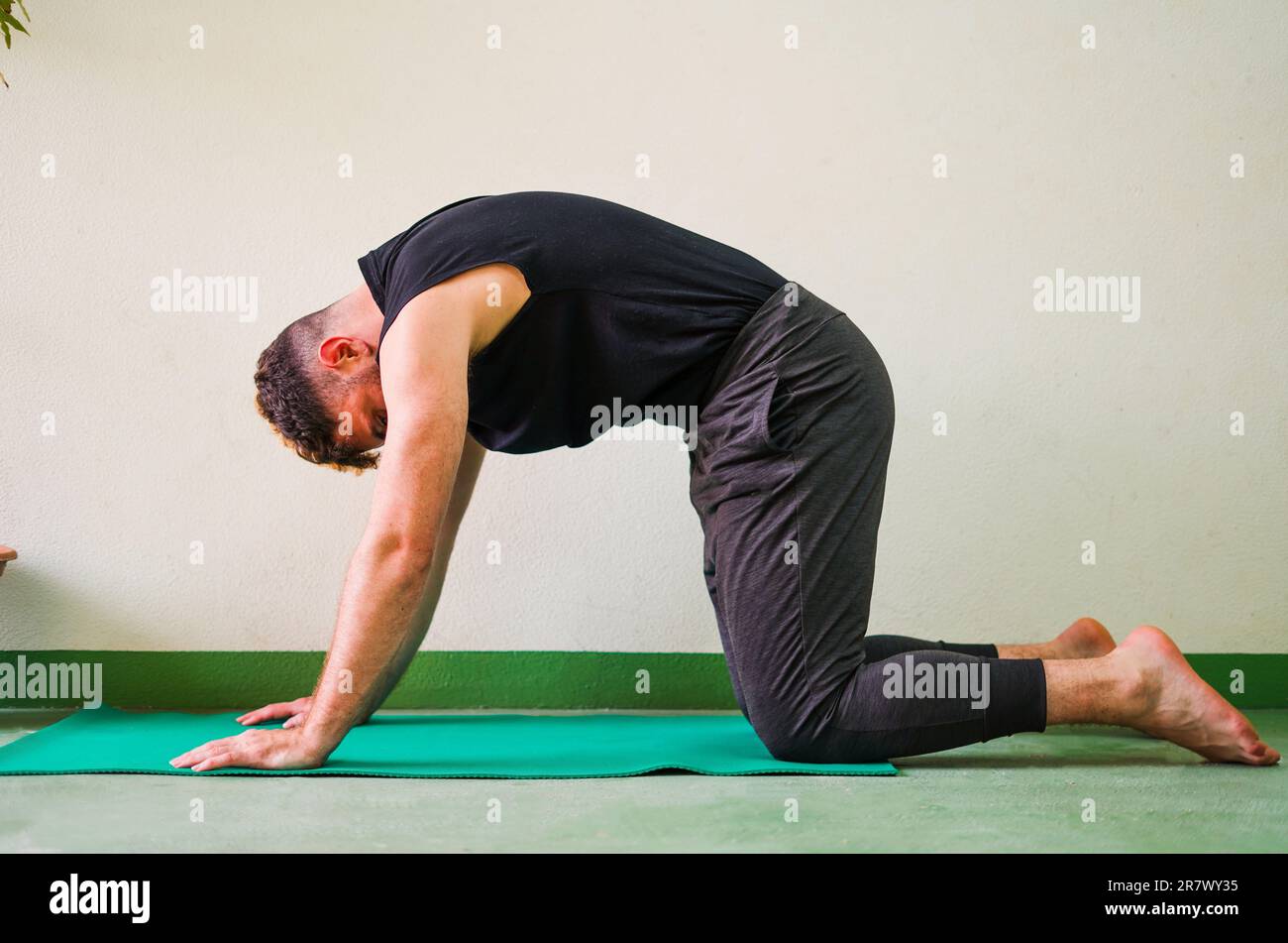 Cat cow position hi-res stock photography and images - Alamy