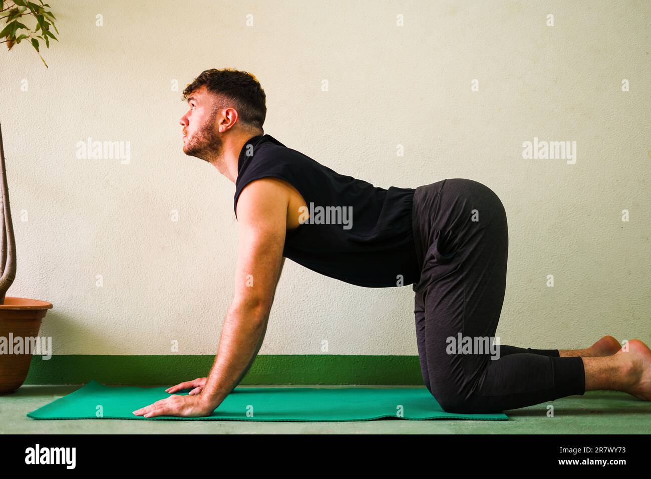 Cat cow position hi-res stock photography and images - Alamy