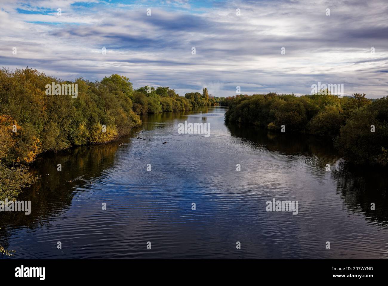 Nottinghamshire nature reserve hi-res stock photography and images - Alamy