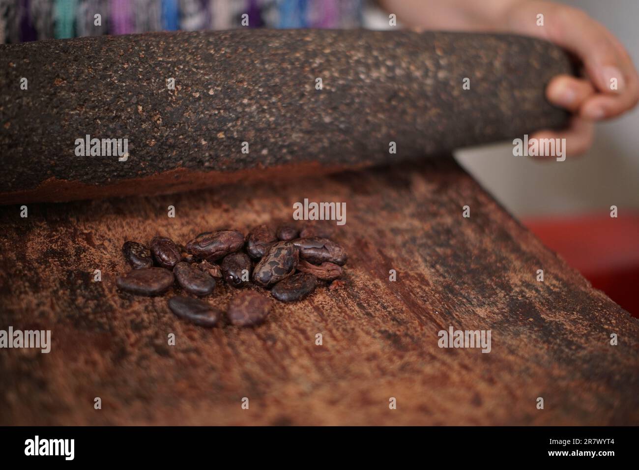 Guatemalan mayan woman making chocolate with traditional grinding stone ...