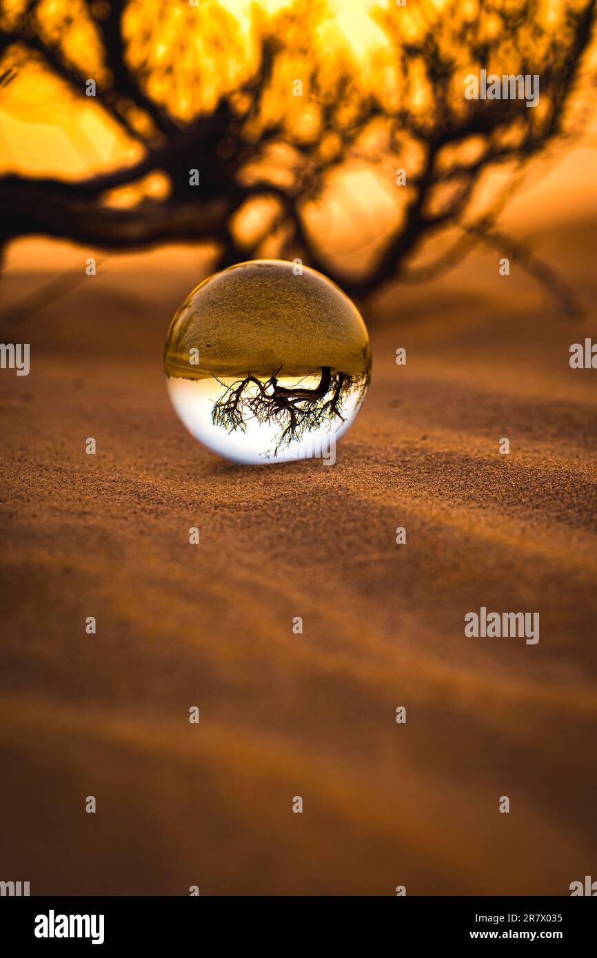 A glass orb resting on the sand of a beach, with a distant tree ...