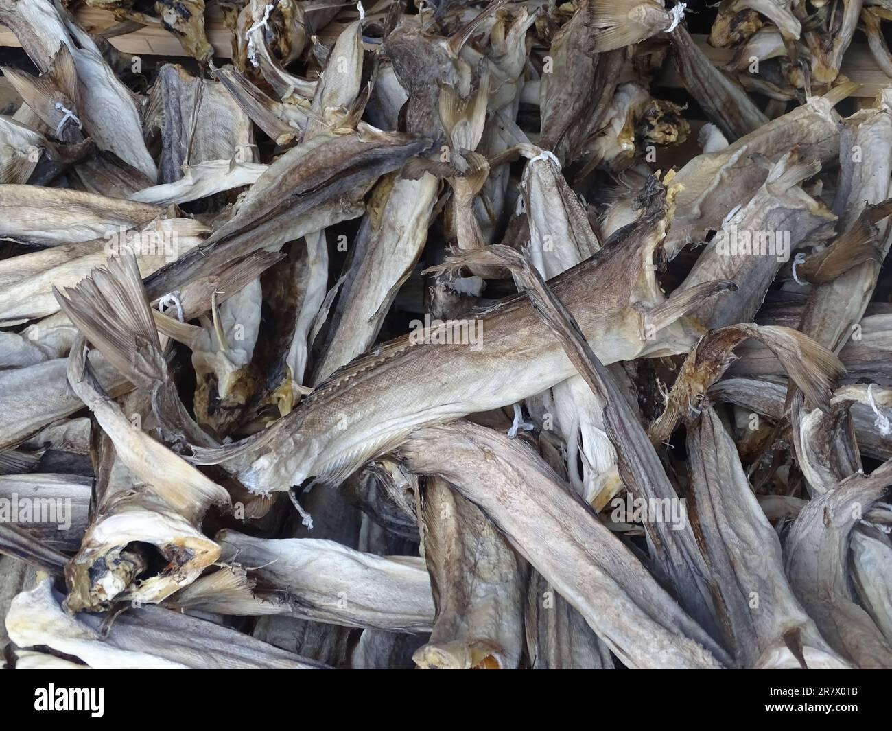 A close-up shot of a large pile of traditional dried fish, taken in Bo ...