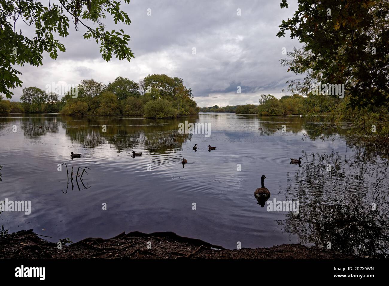 Nottinghamshire nature reserve hi-res stock photography and images - Alamy