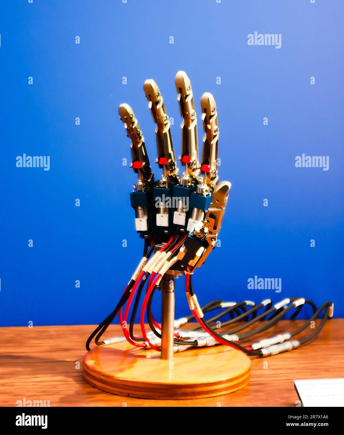 Creepy internal construction of a robot body part -- a skinless ...