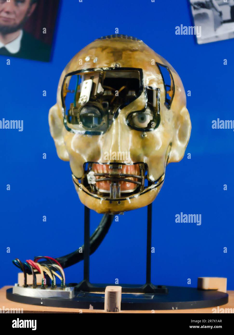 Human Robot Body Parts