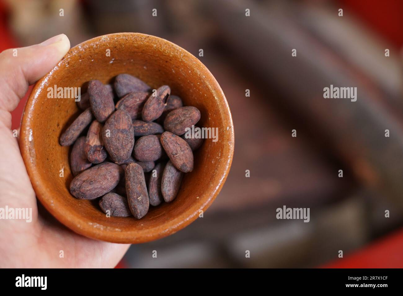 Mayan cacao hi-res stock photography and images - Alamy