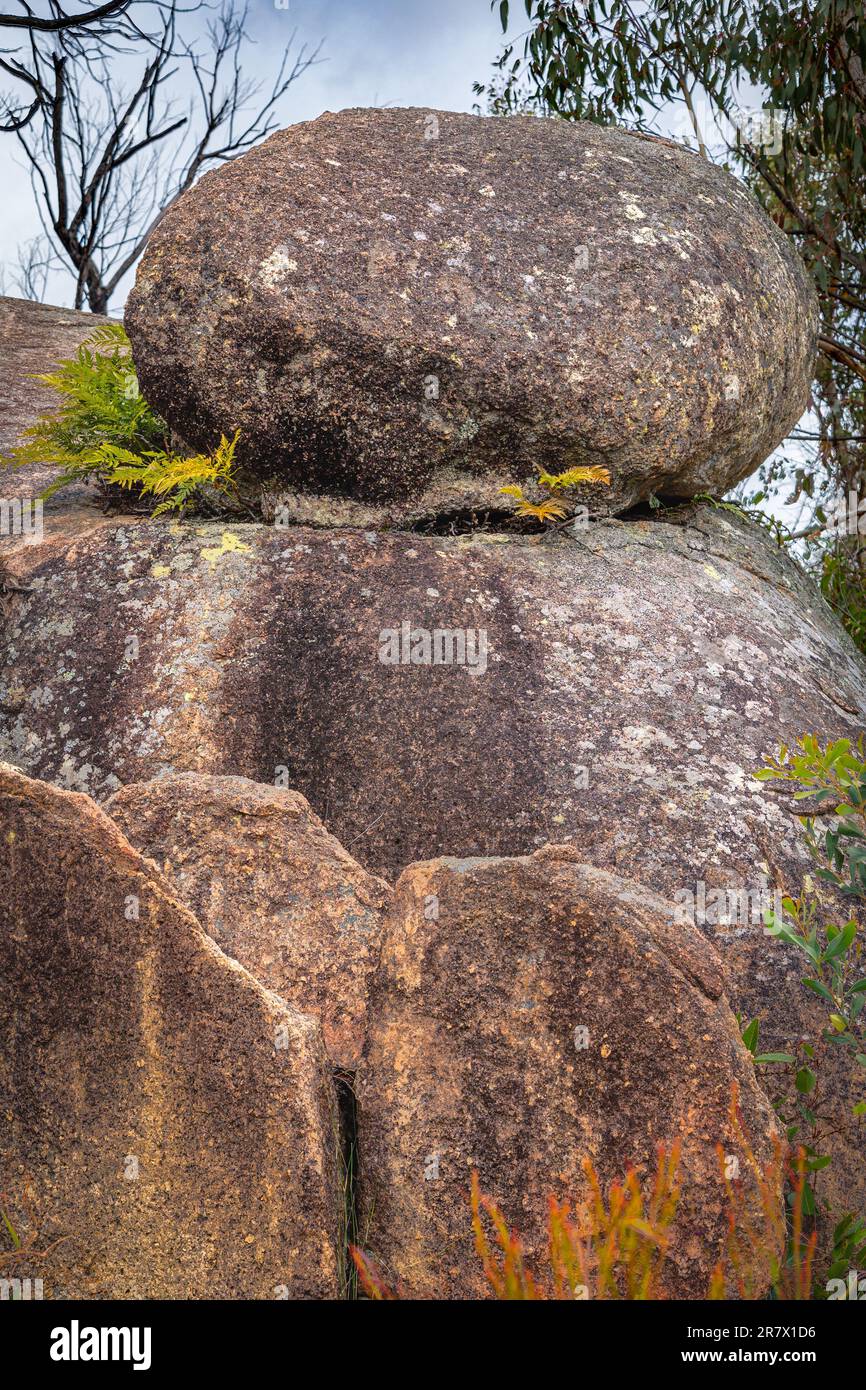 A stunning view of the Queensland granite belt in Girraween National ...
