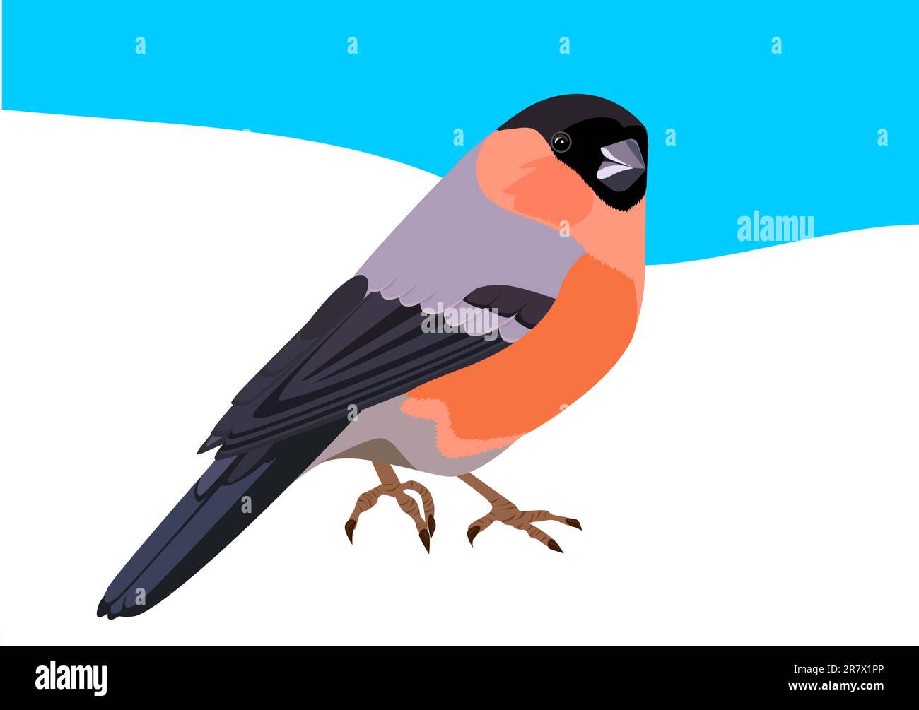 Illustration of beautiful bird bullfinch Stock Vector Image & Art - Alamy