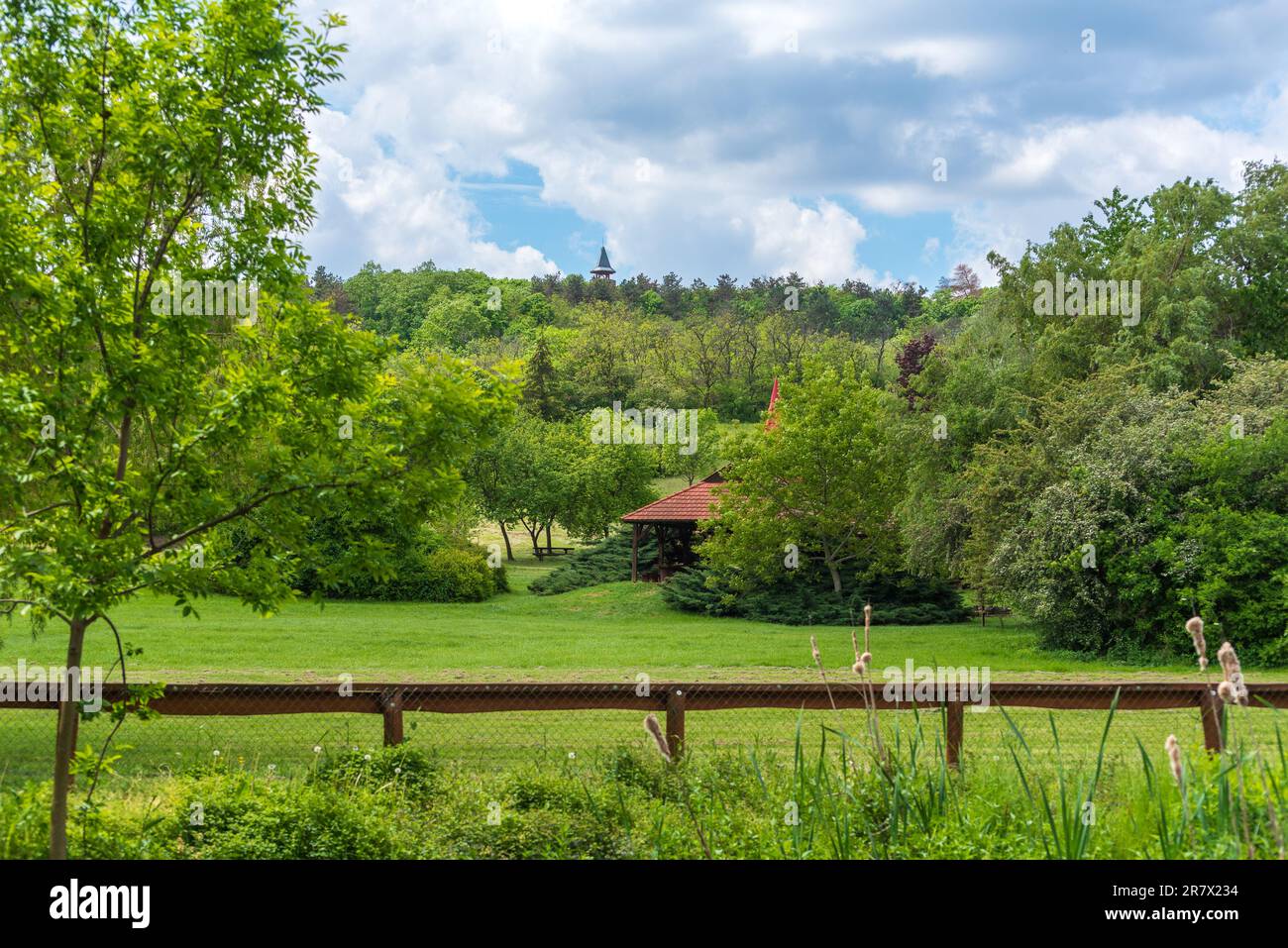 Landscape. A nice park with a lookout point and a wooden veranda Stock ...
