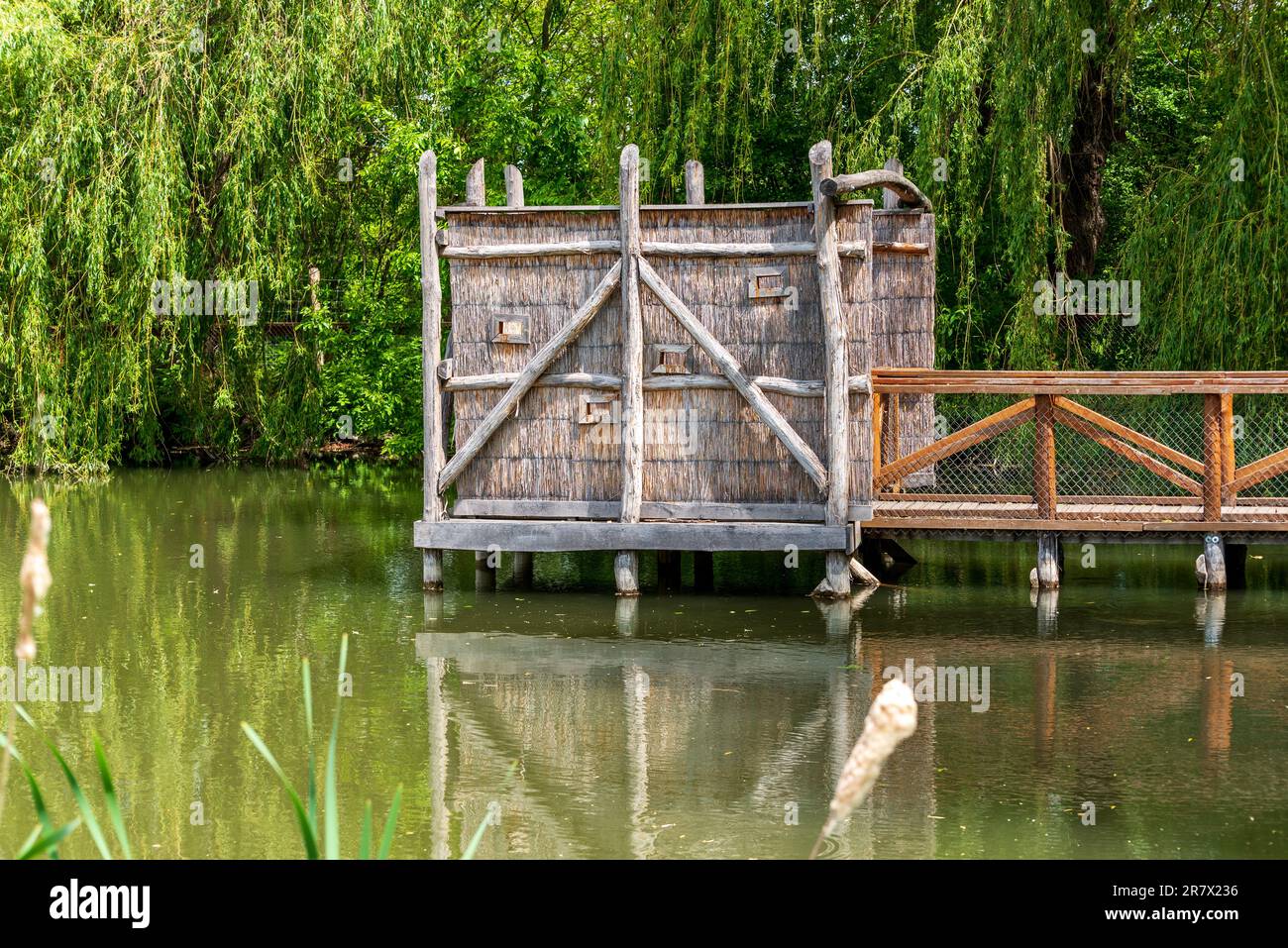 Bird watching hut made from reed and wood on lake Stock Photo - Alamy