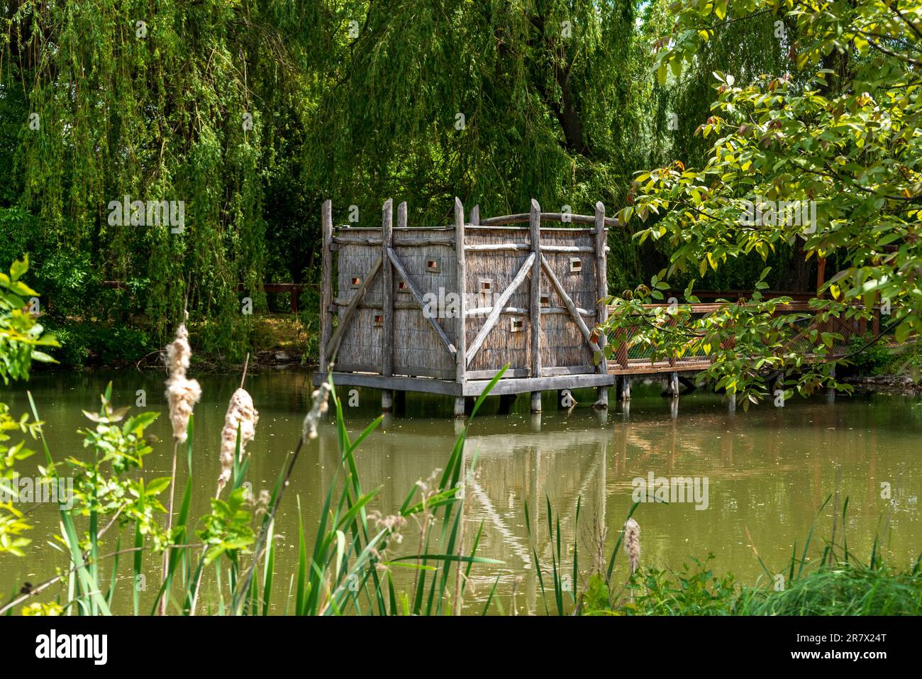 Bird watching hut made from reed and wood on lake Stock Photo - Alamy