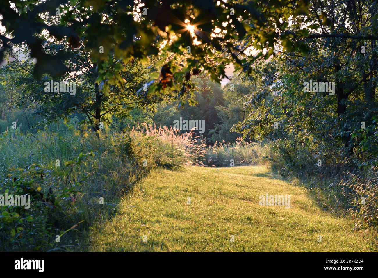 Morning sun trail hi-res stock photography and images - Alamy