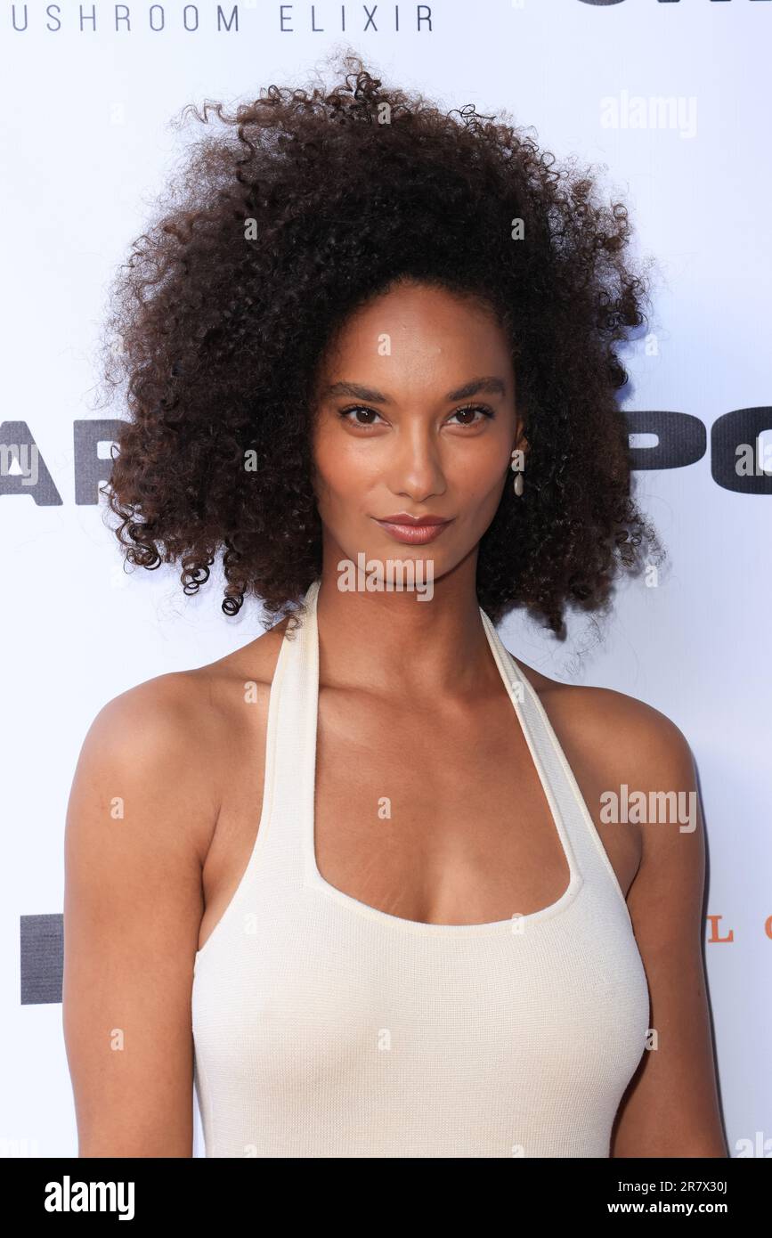 West Hollywood, California, USA. 16th June, 2023. Dana Tyne attending ...