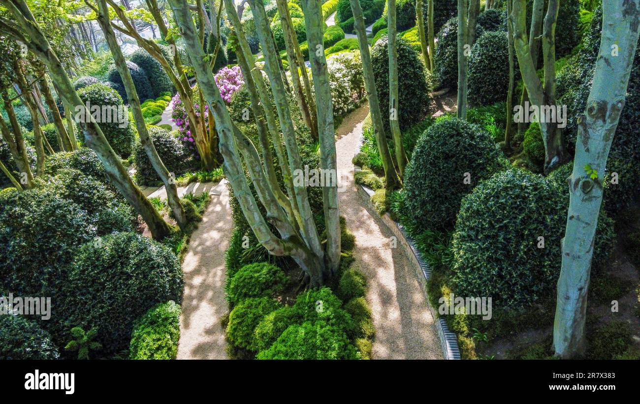 Aerial view of Etretat gardens with eucalyprus trees and pinkand white ...