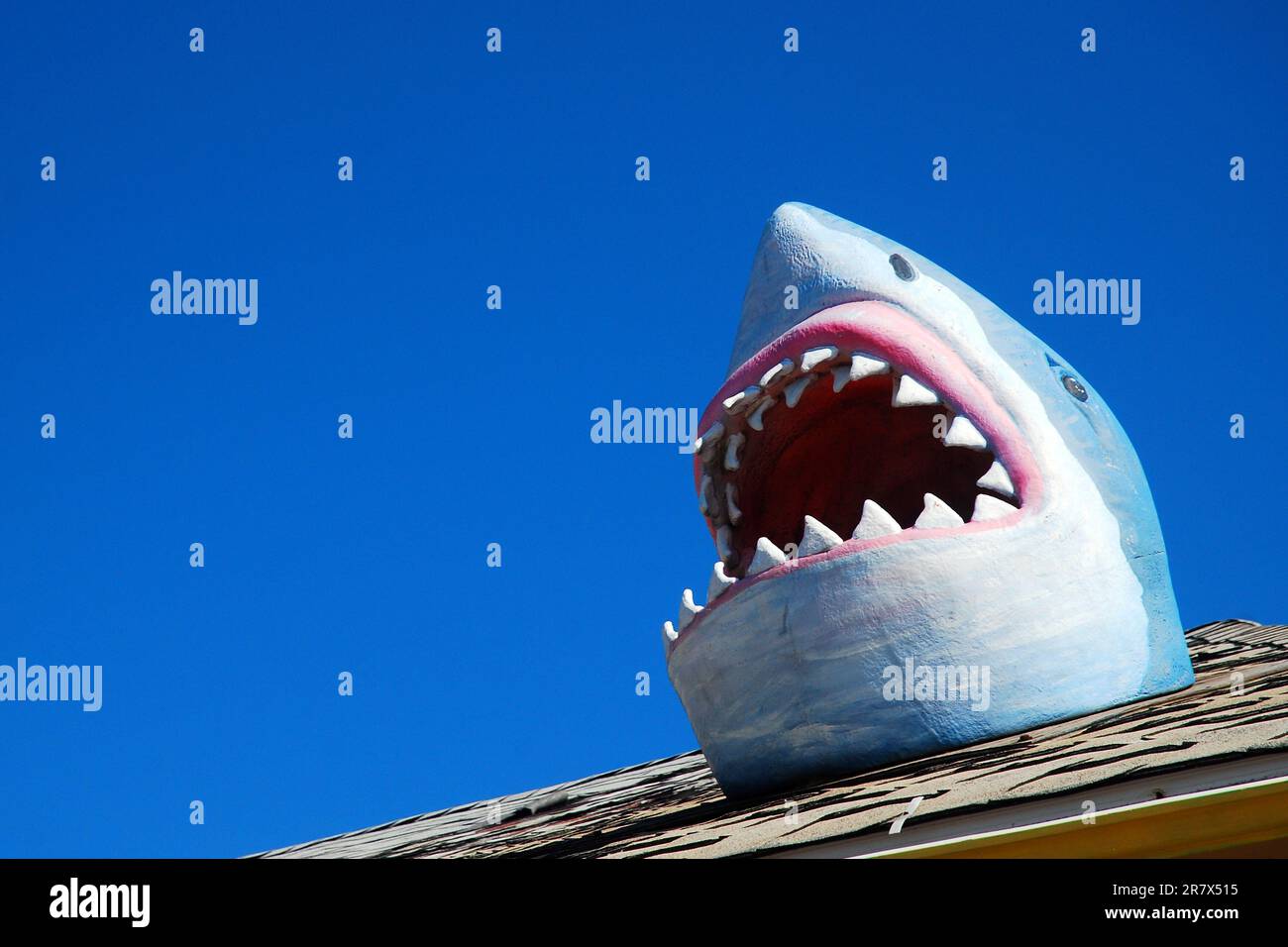 Advertisement funny hi-res stock photography and images - Alamy