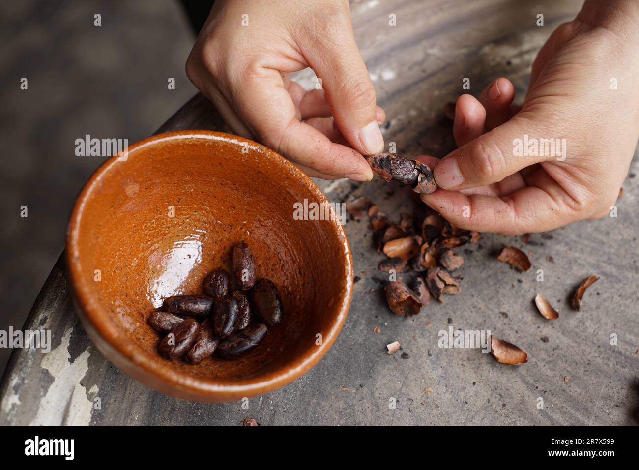 Separating cacao husk from cacao beans by hand to make chocolate Stock ...