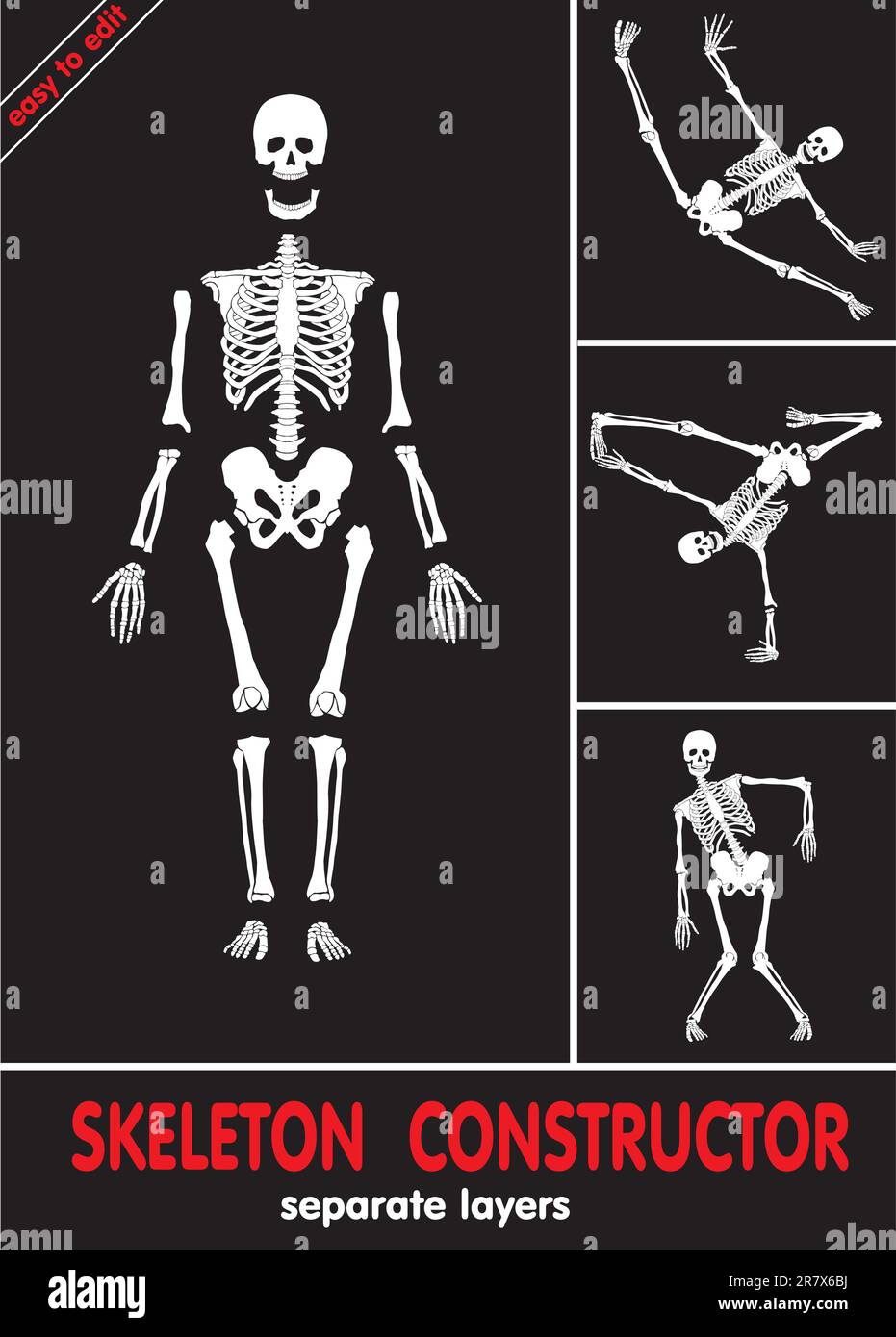 Skeleton Stock Vector Images - Alamy
