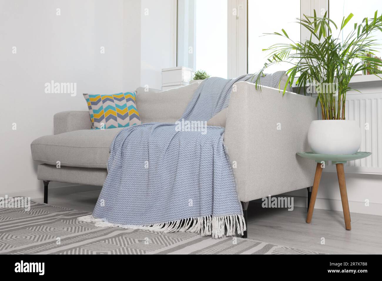 Cosy living room with sofa and potted plant. Interior design Stock ...