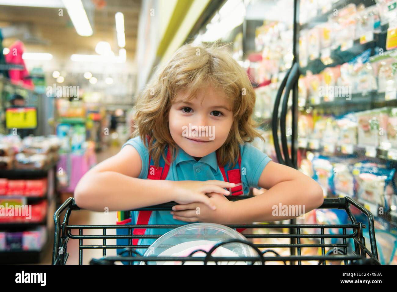 Kid with shopping basket purchasing food in a grocery store. Customers ...