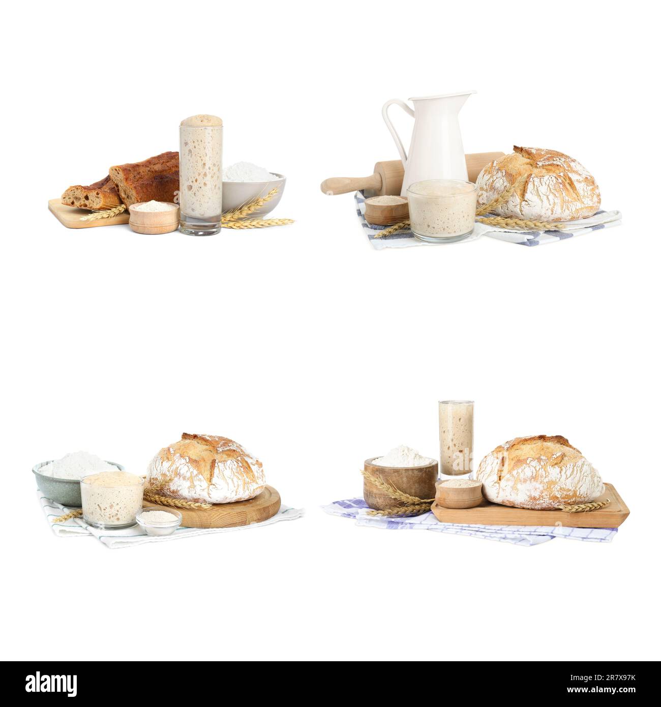 Collage with sourdough starter and different freshly baked bread ...