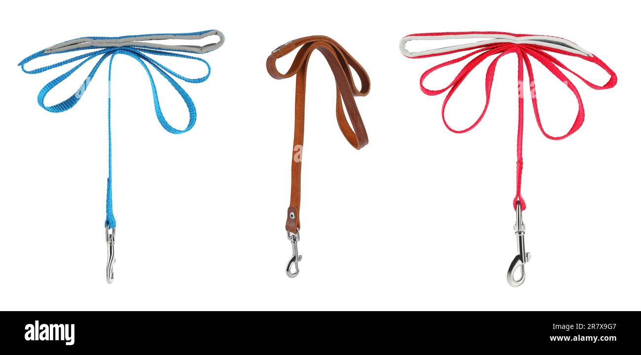 Different pet leashes on white background, collage design Stock Photo ...