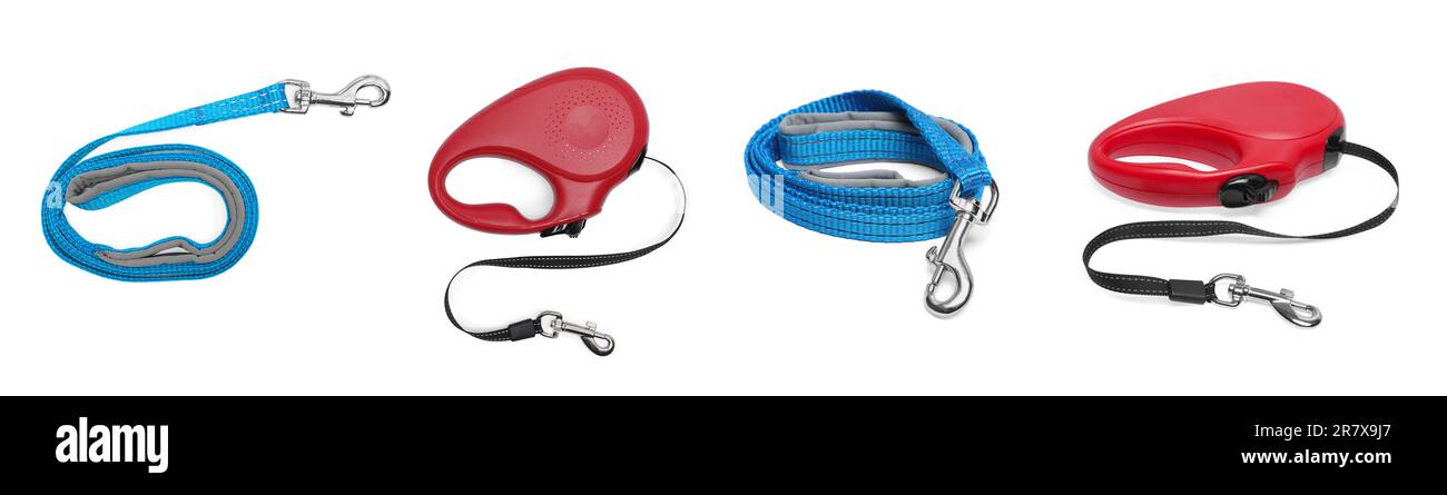 Collage with different pet leashes on white background, top and side ...