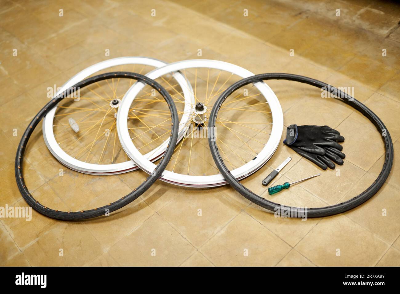 Bicycle wheels and airless tires disassembled on the floor of a bike ...
