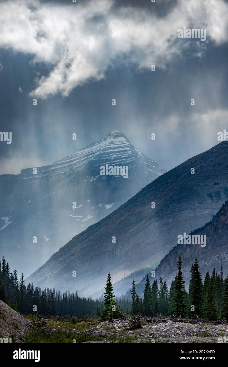 Canadian Rockies Landscape Mt Aylmer as seen from Ghost River Trans ...