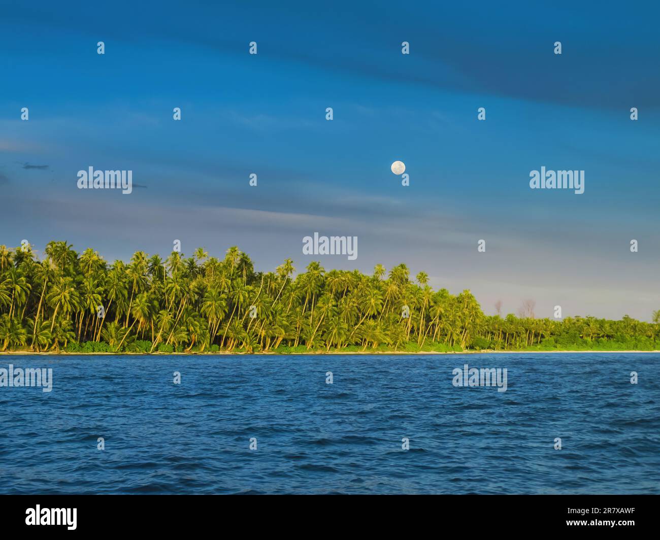 Full moon and coastline of palm trees on the edge of a tropical island ...