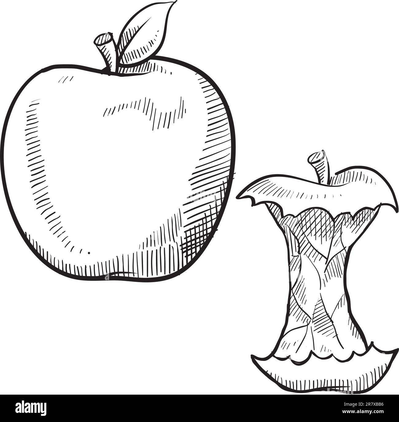 Doodle Style Apple And Apple Core Vector Illustration Stock Vector